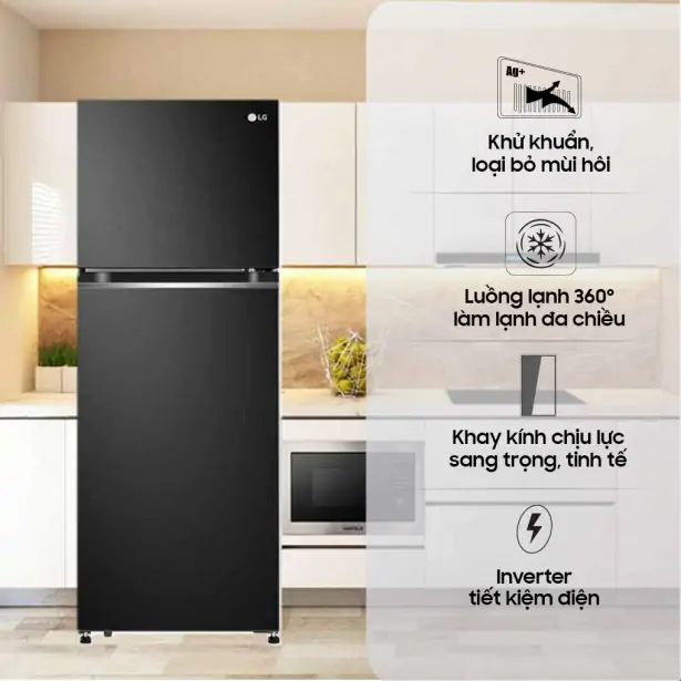Tủ Lạnh LG Inverter 243 Lít GV-B242BL chính hãng, giá tốt 2025