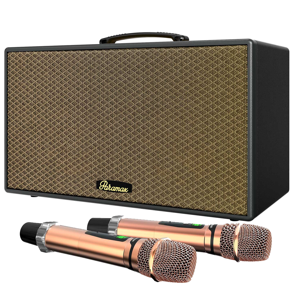 Loa Karaoke Di Động Xách Tay Paramax Aura (Black Leather)